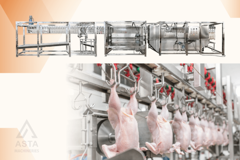 Automatic Chicken Processing Line - Asta Machineries