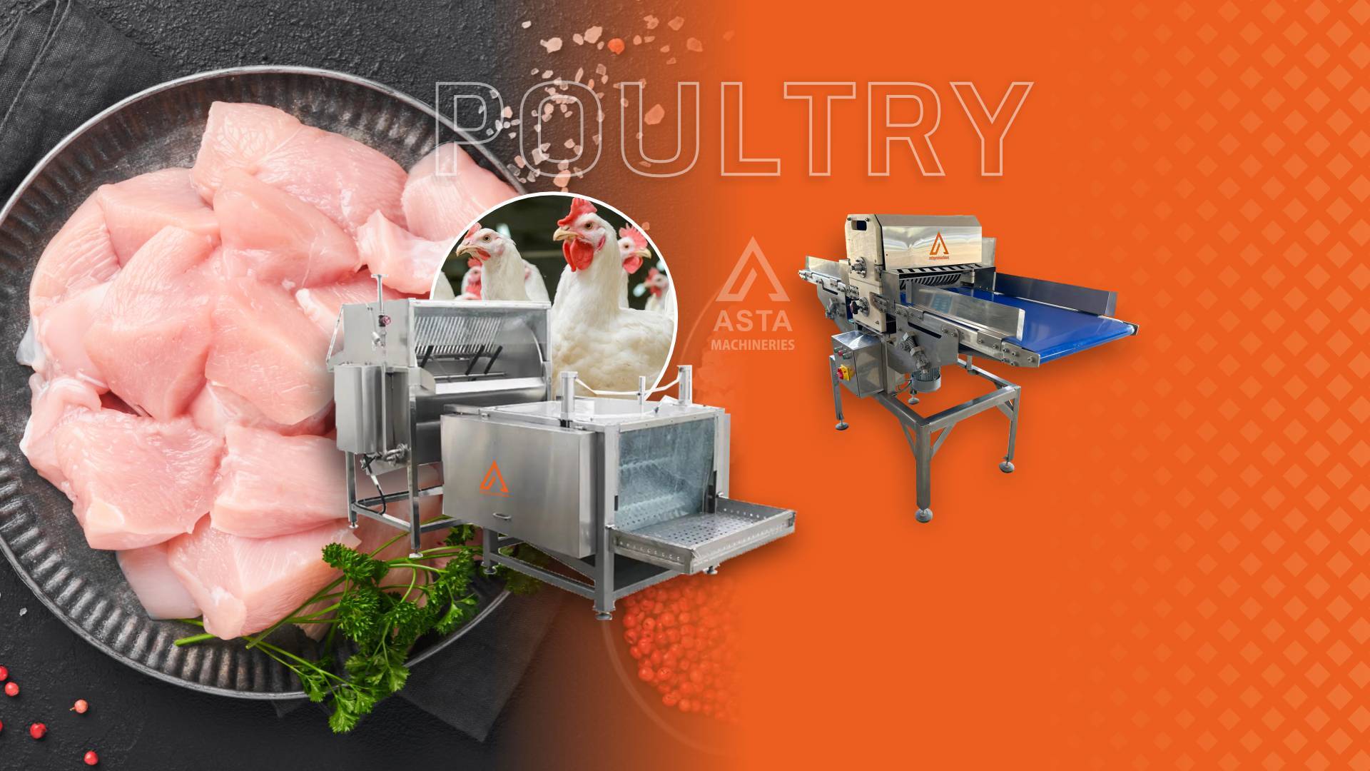 Asta Machineries - Poultry, Fish and Meat Processing Machineries